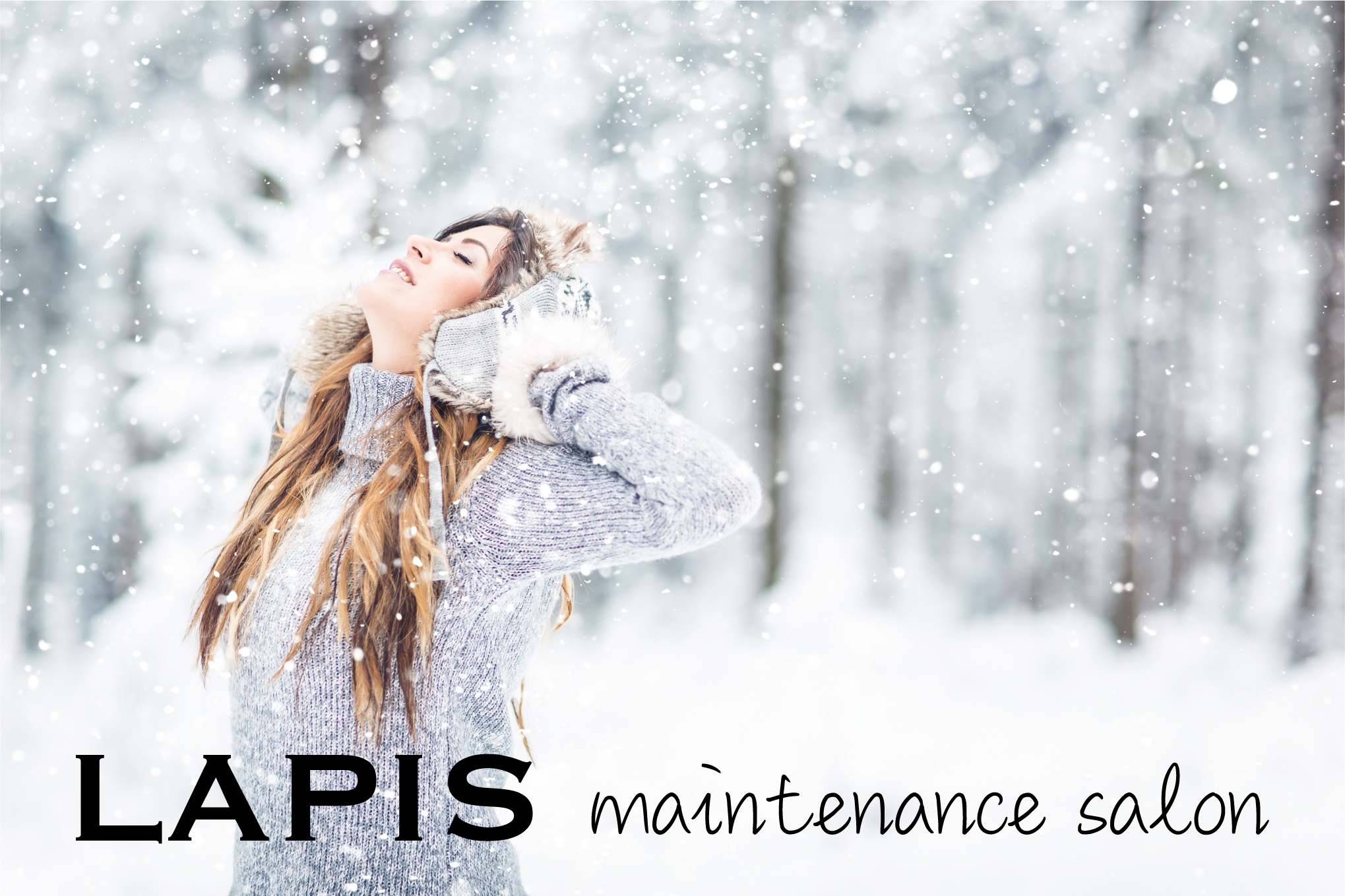 LAPIS Maintenance Salon – LAPIS Maintenance Salon